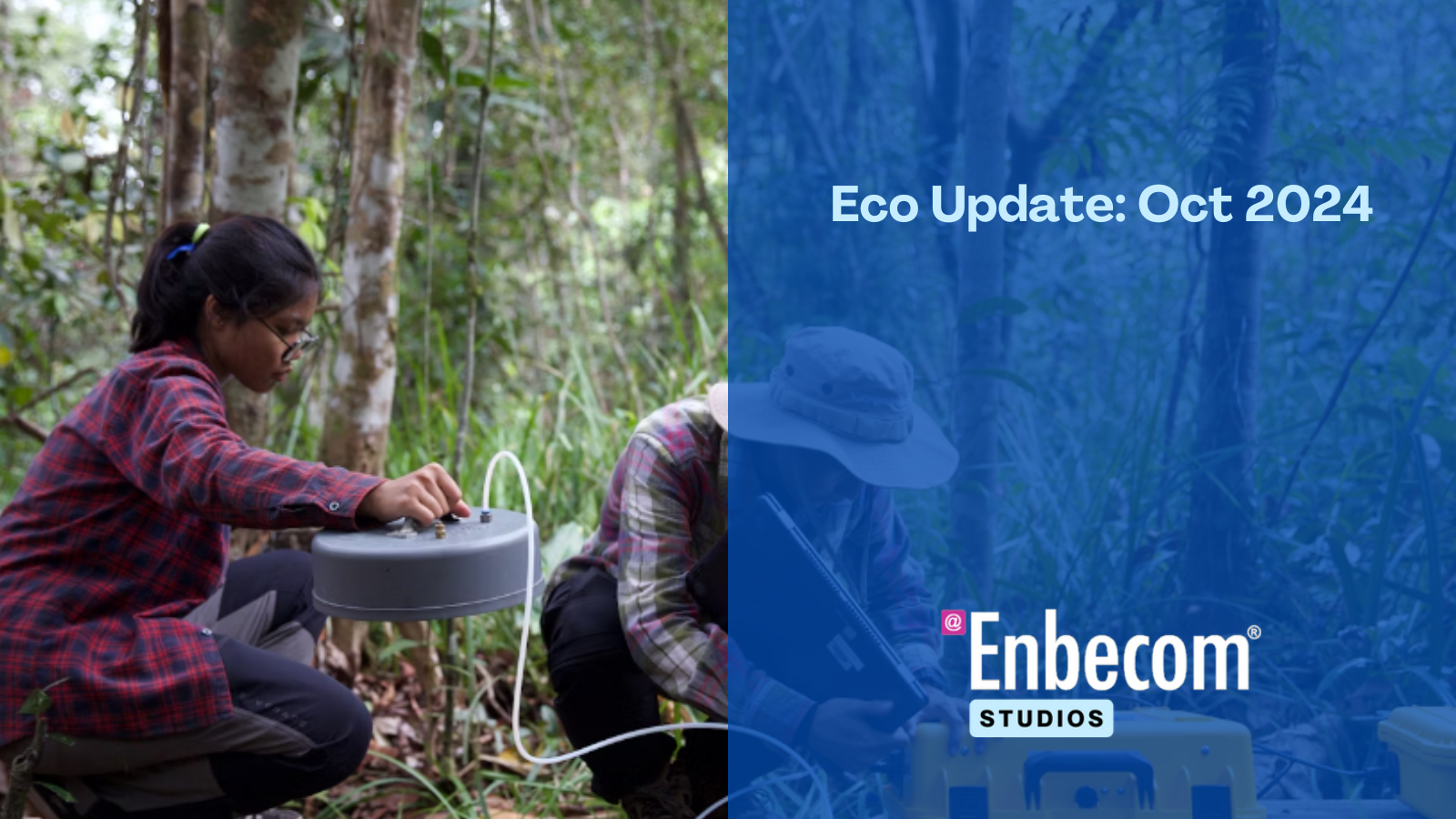 Eco Update: Oct 2024 – Supporting communities and the environment - Enbecom Studios